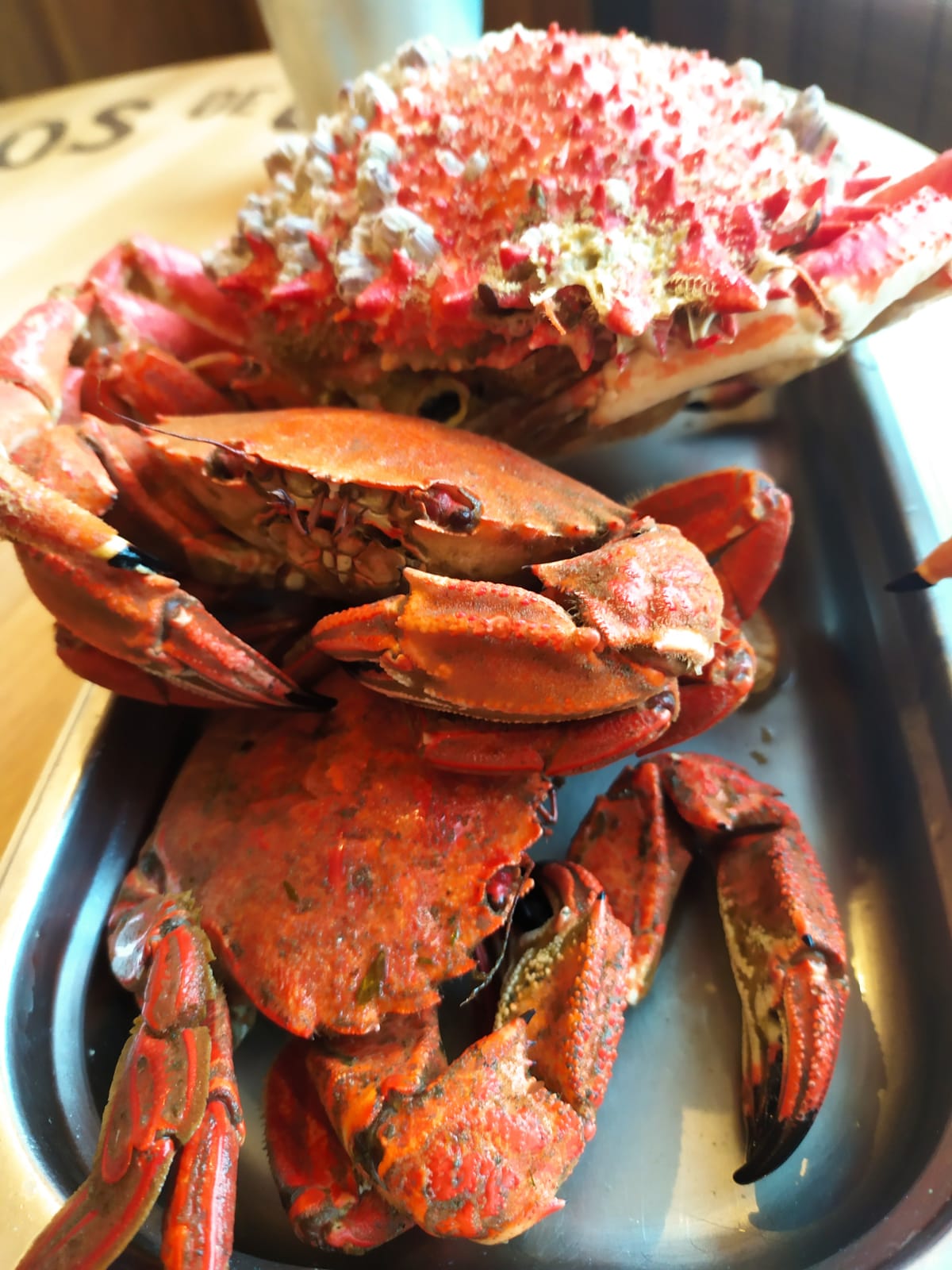 Marisco - El Rincón del Sol - Bar en Hoyo de Manzanares